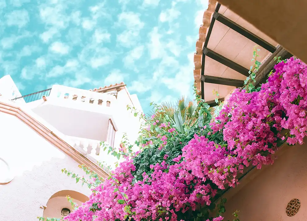 Ailit Estate | A relationship built on trust is vital.